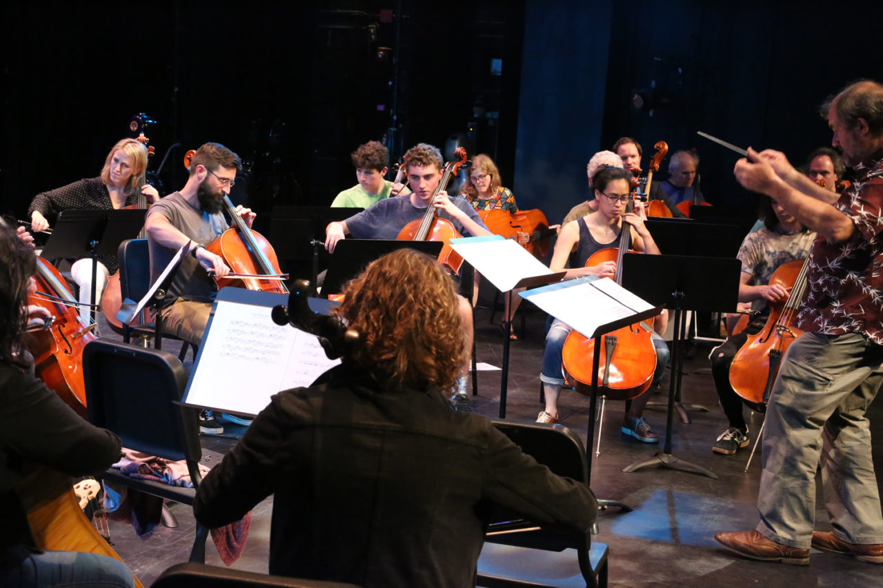 New Directions Cello Festival and New Directions Cello Association