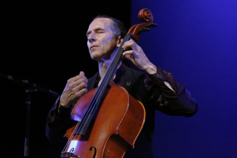 New Directions Cello Festival and New Directions Cello Association